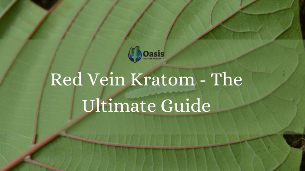 The Ultimate Guide to Red Vein Kratom