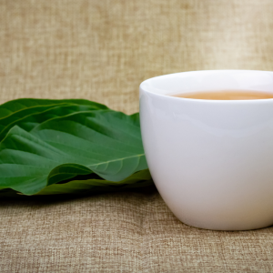 Types Of Kratom: Red Vs Green Vs White – Which One To Pick?